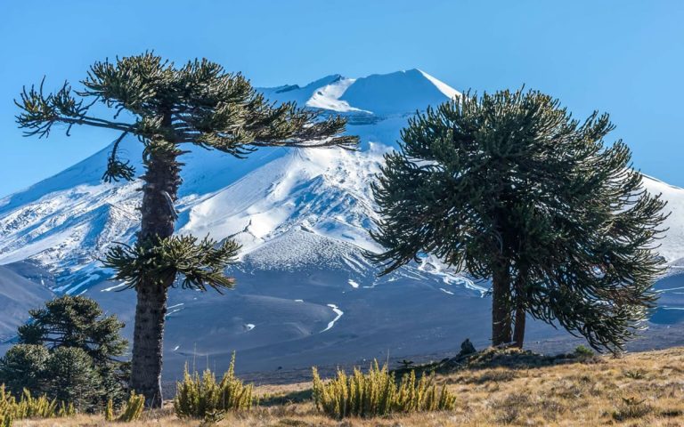 Zona sur de Chile - Regiones