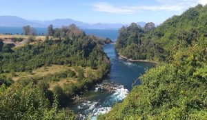 Región de Los Ríos: Información, atractivos y más 🏞️